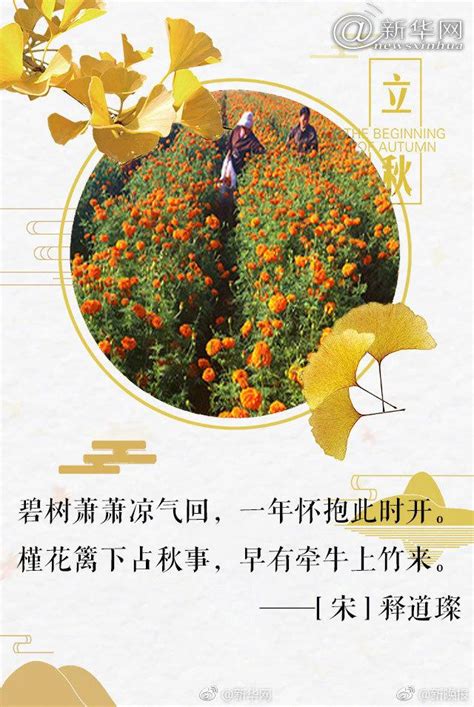 今日立秋带您感受古诗词中的秋天之美