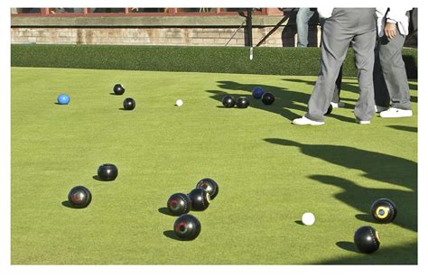 Top Quality Fine Bowling Green Grass Lawn Seed Meadowmania Uk