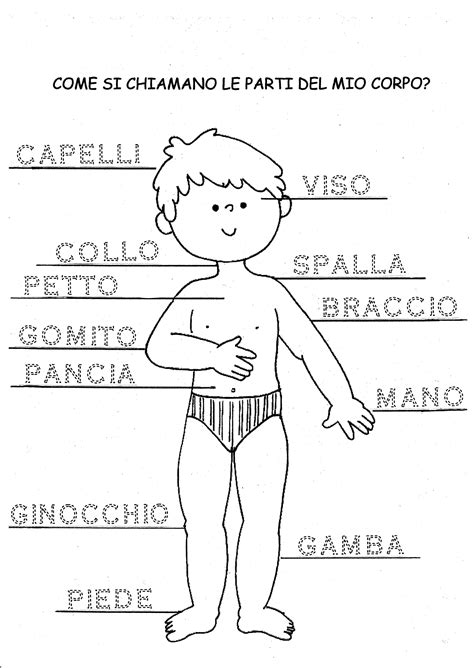 Schede Didattiche My Body Artofit