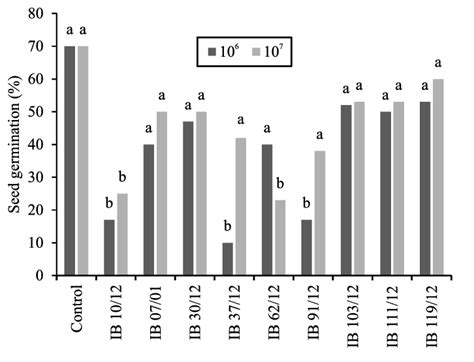 Effect Of Strains Of Trichoderma Spp On Pintado Soybean Glycine Download Scientific Diagram