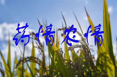 欧盟新规冲击：噻虫啉mrl降低，印度农产品出口面临挑战