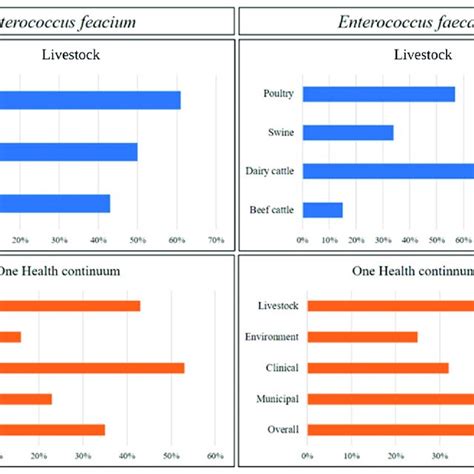 Multidrug Resistant Enterococcus Faecium And Enterococcus Faecalis Download Scientific Diagram