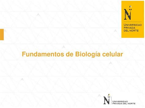 Sesión 05 Fundamentos De Biología Celular Jennifer Udocz