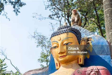 스와얌부나트 사원에 있는 원숭이가 있는 불상이 네팔 카트만두에서 가장 신성한 불교 사원 중 하나입니다 0명에 대한 스톡 사진 및