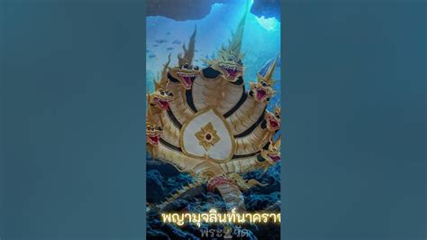นาคาเล่าเรื่อง Ep 3 พญามุจลินท์นาคราช พญานาคชั้นพรหม เจ้าแห่งนาคภิภพ