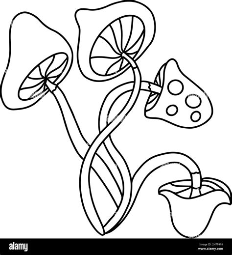 Sketch Poisonous Mushrooms Vector Black And White Illustration Stock