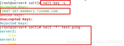 Saltstack中salt Ssh、salt Syndic与salt Api的使用salt Ssh 配置密钥文件 Csdn博客