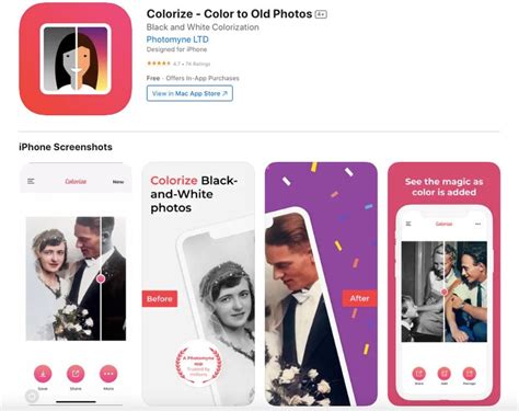 Discover The Top 6 Ai Colorizer Tools To Enhance Your Photos