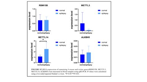 Identification Of Rna N6 Methyladenosine Regulation In Epilepsy