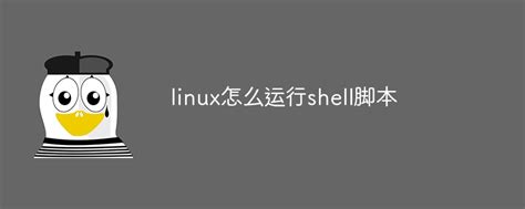Linux怎么运行shell脚本 叮当号