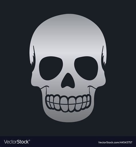 Skull Design Royalty Free Vector Image Vectorstock