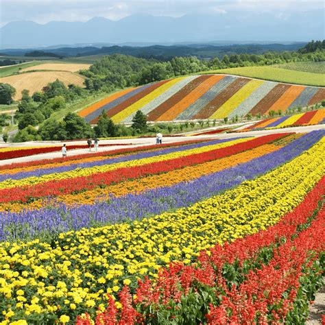 北海道 找到了旅遊雙向國際旅行社