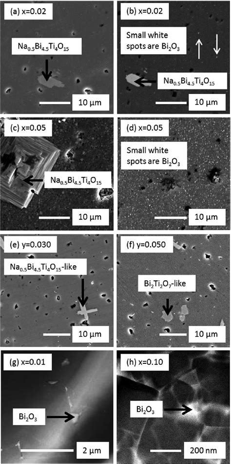 Sem Secondary Electron Images A C E F And Back Scattered