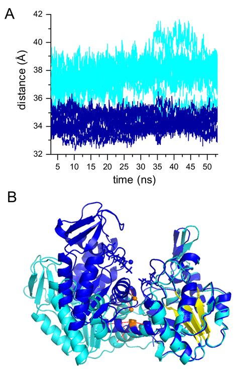 An Allosteric Signaling Pathway Of Human 3 Phosphoglycerate Kinase From Force Distribution