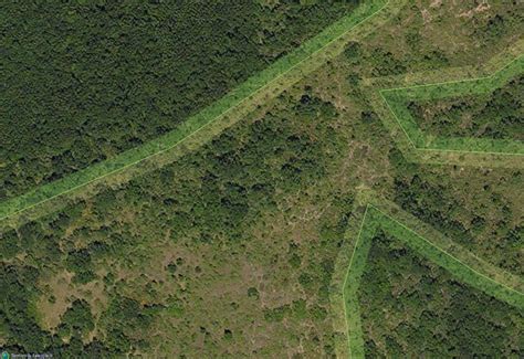 Rendering Of Forests Woodland And Scrubs Issue 240 FreemapSlovakia