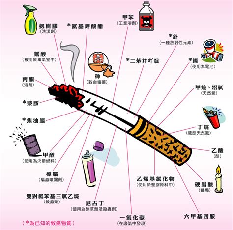 未命名 5