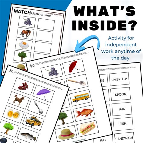 Matching Identical Non Identical Items Worksheet Book For Autism Special Ed Aba Made By Teachers