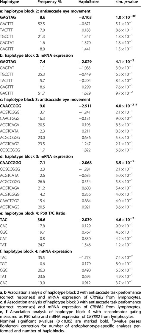 Association Analyses Of Haplotype Blocks Download Scientific Diagram