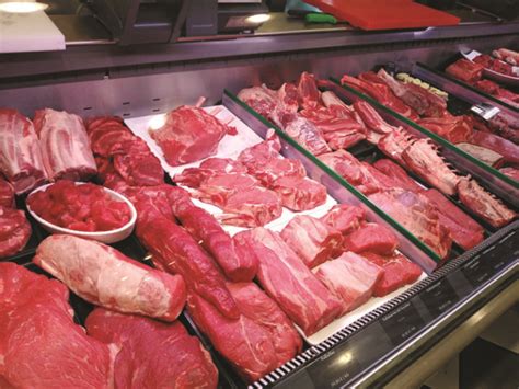 Bovine Leukemia Virus Blv Virus Transmission In Cattle Grit