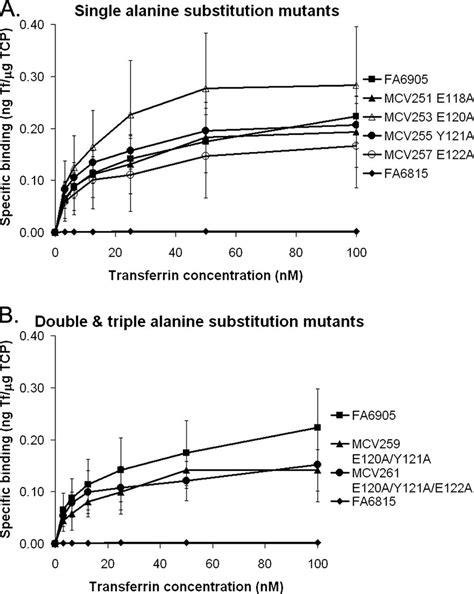 Alanine Substitution Mutants Bound Transferrin At Wild Type Levels In Download Scientific