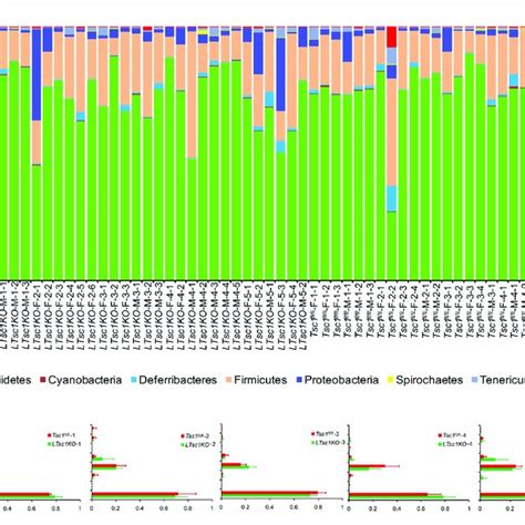 Percentage Bar Diagram A And Composite Bar Diagram B Showing