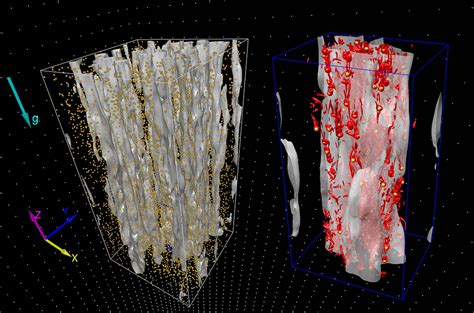 Direct Numerical Simulation Of The Gravitational Settling Of Finite