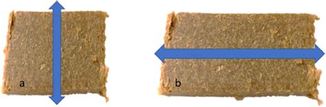Cutting Direction For A Transversal And B Longitudinal Section