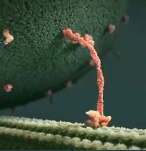 Jo Anne Keddie Posted On Linkedin