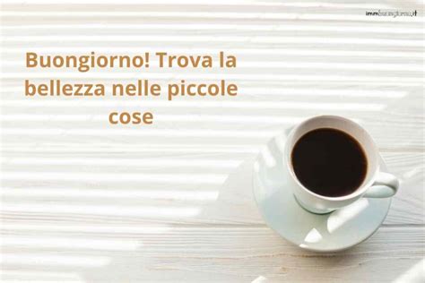 le più belle di oggi febbraio per Instagram Whatsapp e Facebook Il Portale Del Nerd