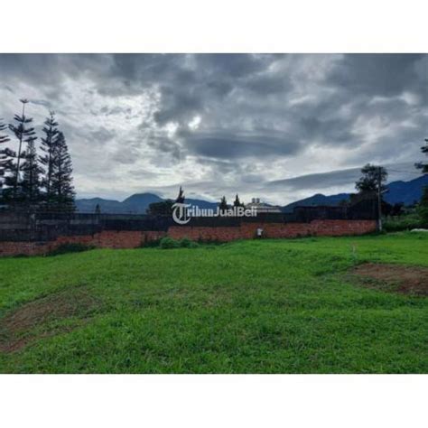 Dijual Tanah SHM Dijual Di Cisarua Puncak Di Bogor Tribun JualBeli