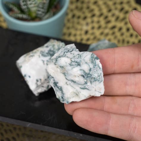 Tree Agate Meanings And Crystal Properties The Crystal Council