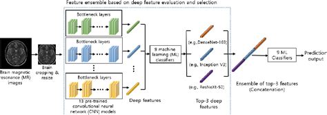 Figure From MRI Based Brain Tumor Classification Using Ensemble Of Deep Features And Machine