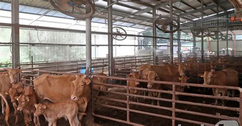 가축분뇨·음식물 쓰레기 자원화해 탄소중립실증 추진경과 보고