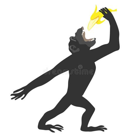 Funny Monkey Gorilla Holds Banana Isolated On White Background Copy