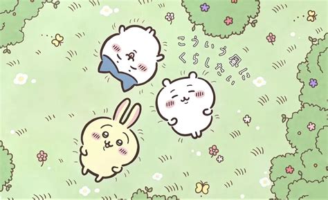 Ipad壁纸chiikawa白色 抖音