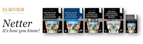 Netters Anatomy Coloring Book Netter Basic Science 9780323826730