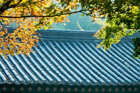 기와 유토이미지 상세페이지 베이직샵 20126202