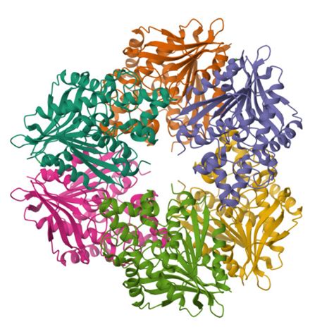 Rcsb Pdb 3fcy Crystal Structure Of Acetyl Xylan Esterase 1 From Thermoanaerobacterium Sp Jw