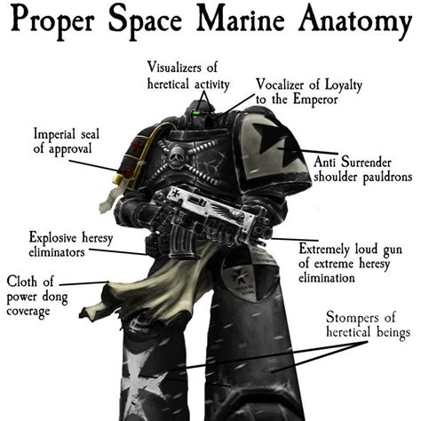 Pin By Mb On Wh40k Space Marines Warhammer 40k Memes Space Marine