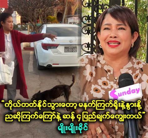 ခွေးတွေကြောင်တွေချစ်တော့ လမ်းဘေးခွေးလေးတွေအစားကျွေးတာ ၁၅နှစ်ကျော်ပြီ မ