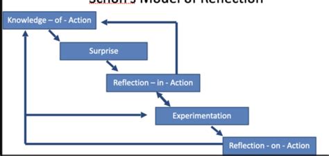 Lecture 11 Reasoning Expertise And Knowledge Flashcards Quizlet