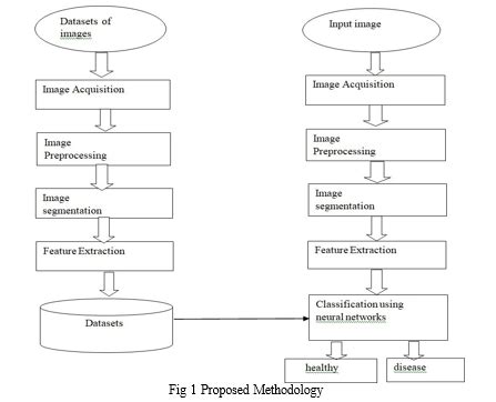 Leaf Disease Detection Using Convolutional Neural Network