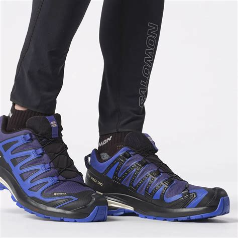 Salomon Xa Pro 3D V9 Goretex Trailrunning Schuhe Blau Runnerinn