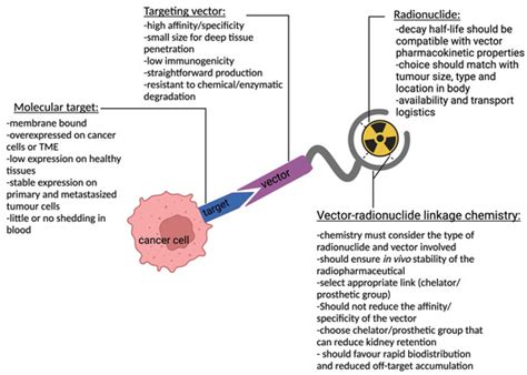 Biological Vectors In Targeted Radionuclide Therapy Encyclopedia Mdpi