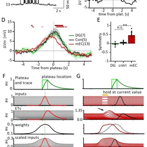 involvement of ca3 and dg input pathways in pf formation a schematic