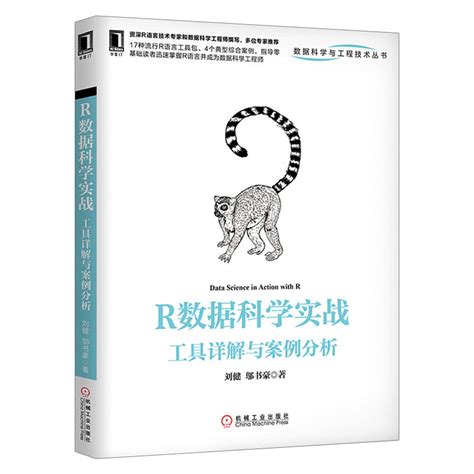 R数据科学实战：工具详解与案例分析 R语言数据导入数据清洗数据计算循环和迭代数据结构图形指南大数据处理挖掘r用户学习参考书籍虎窝淘
