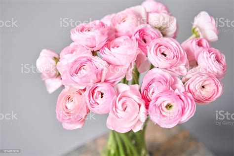 봄 배경 꽃 배경 화면 페르시아 미나리 밝은 회색 배경에 번치 핑크 Ranunculus 꽃 빈티지 나무 테이블에 꽃병 벽지