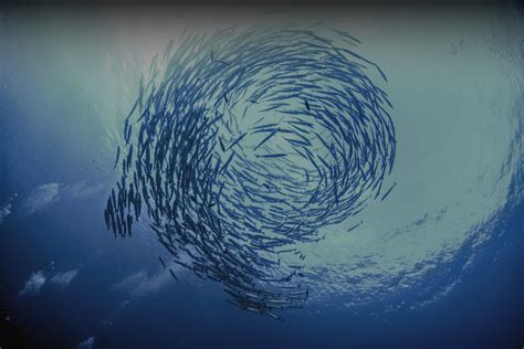 Streamlined Energy Carbon Reporting SECR Explained