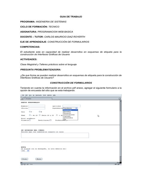 Guia Construccion De Formularios