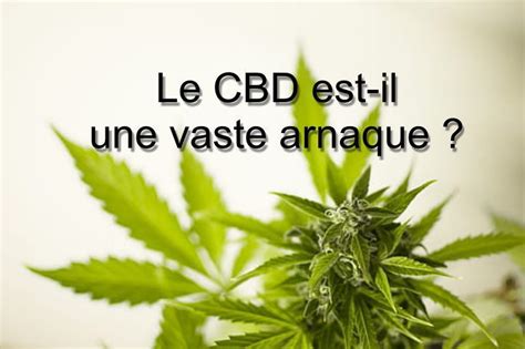Le CBD Est Il Une Arnaque Ou Vraiment Efficace Kanaleg